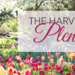 Alliance Women | The Harvest is Plentiful