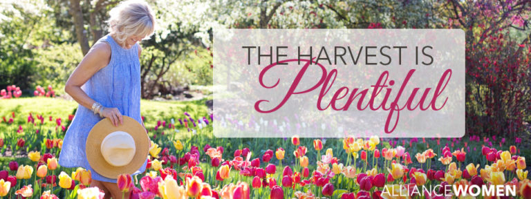 Alliance Women | The Harvest is Plentiful